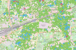 Szczegółowa mapa Polski z 1771 roku | Eloblog